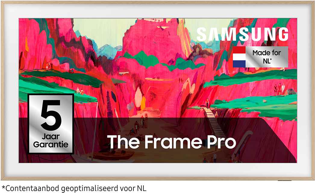 Samsung The Frame Pro 65LS03F (2025) 65 inch televisie ko...